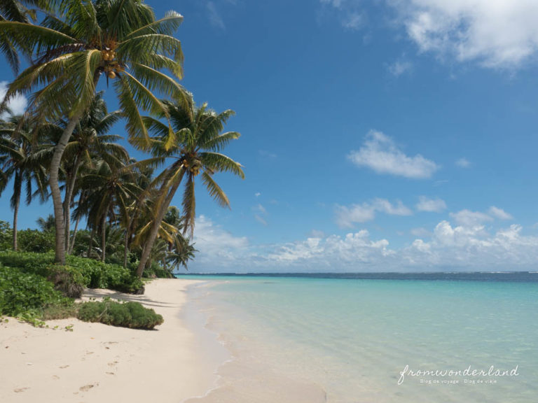 Les îles Samoa, paradis perdu à découvrir d'urgence