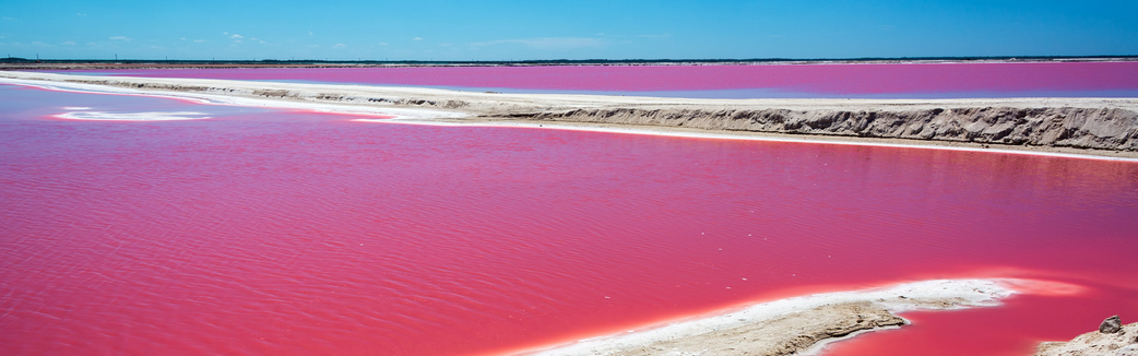 Les Plus Beaux Lacs Roses du Monde : joyaux naturels et rares